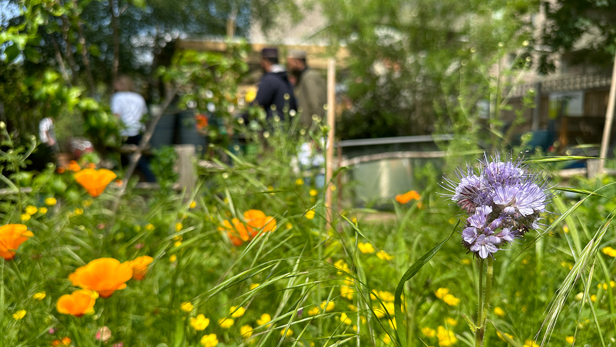 Home - Forest Gate Community Garden
